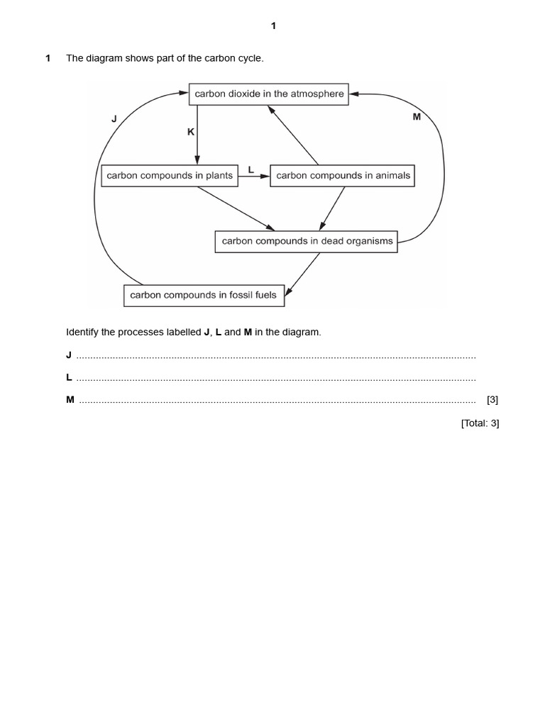 Grade 9 Nutrient Cycle Questions-1 | PDF | Carbon Cycle | Combustion