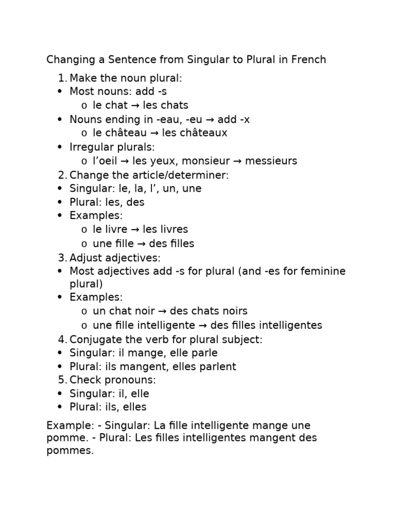 French Plural Guide | PDF