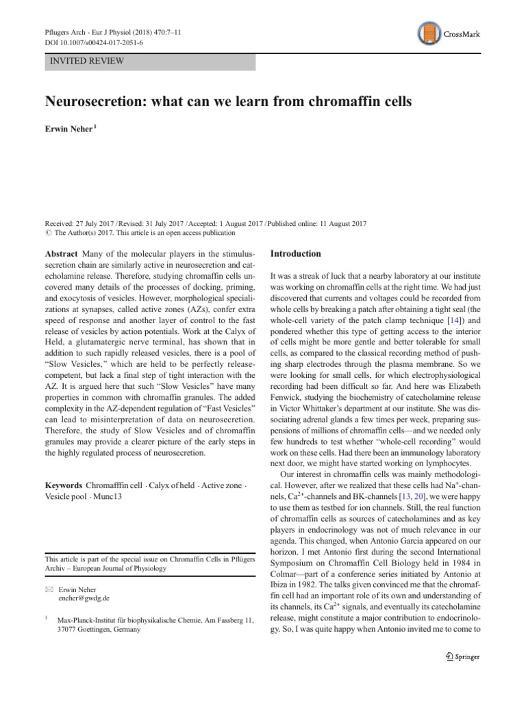 Neurosecretion - What Can We Learn From Chromaffin Cells | PDF ...
