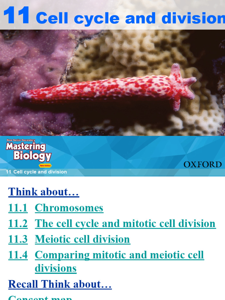 Biology Ch11 | PDF