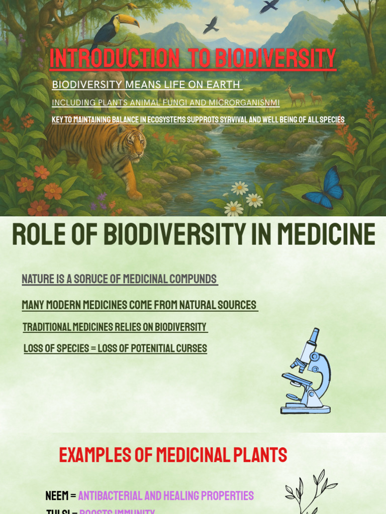 Science HHW Introduction To Biodiversity | PDF