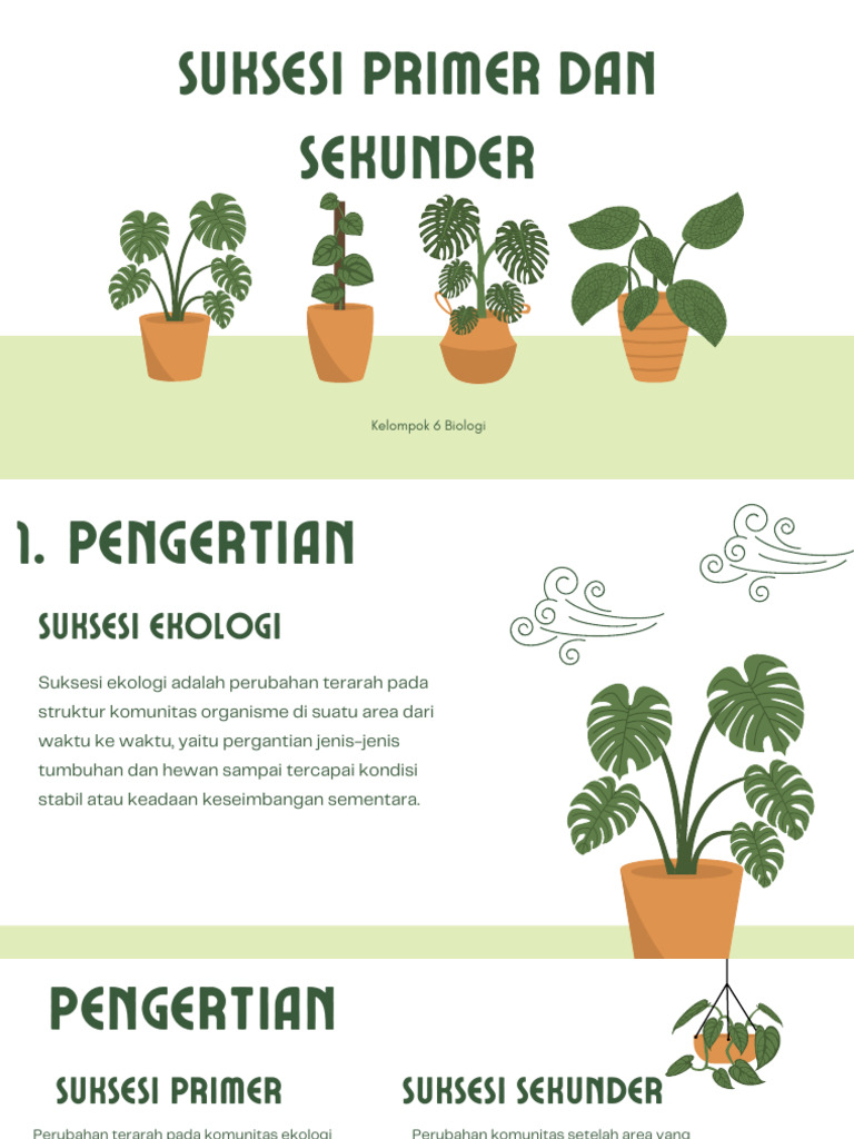3 - Suksesi Primer Dan Sekunder - 20260220 - 191647 - 0000 | PDF