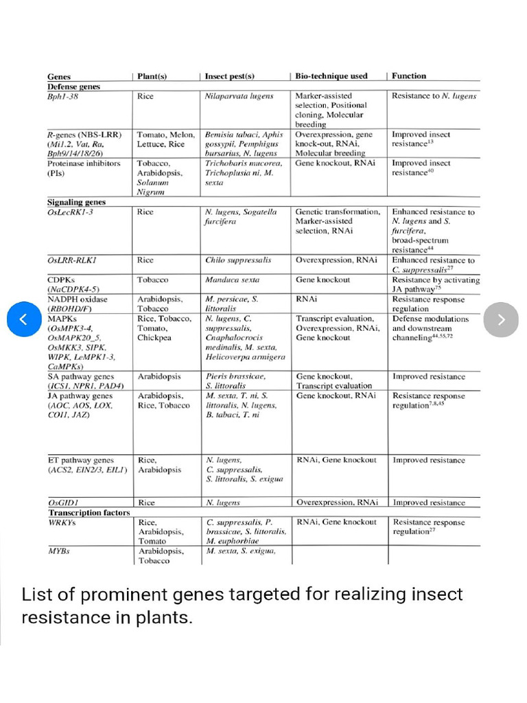 Gene Charts | PDF