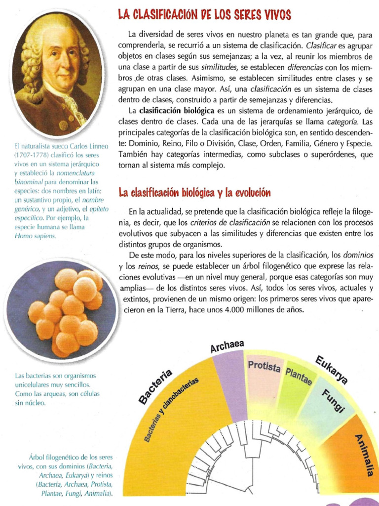Bio Divers I Dad | PDF