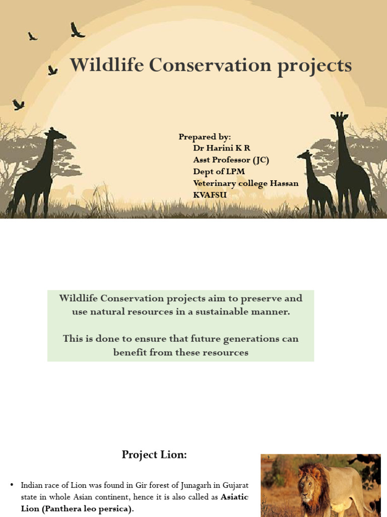 Conservation Projects | PDF