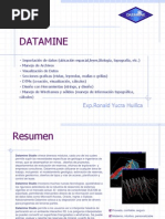 Manual Datamine Studio RM | PDF | Estadísticas | Minería