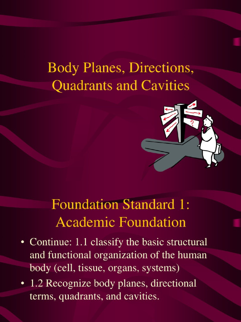 Body Planes, Directions, Cavities | PDF