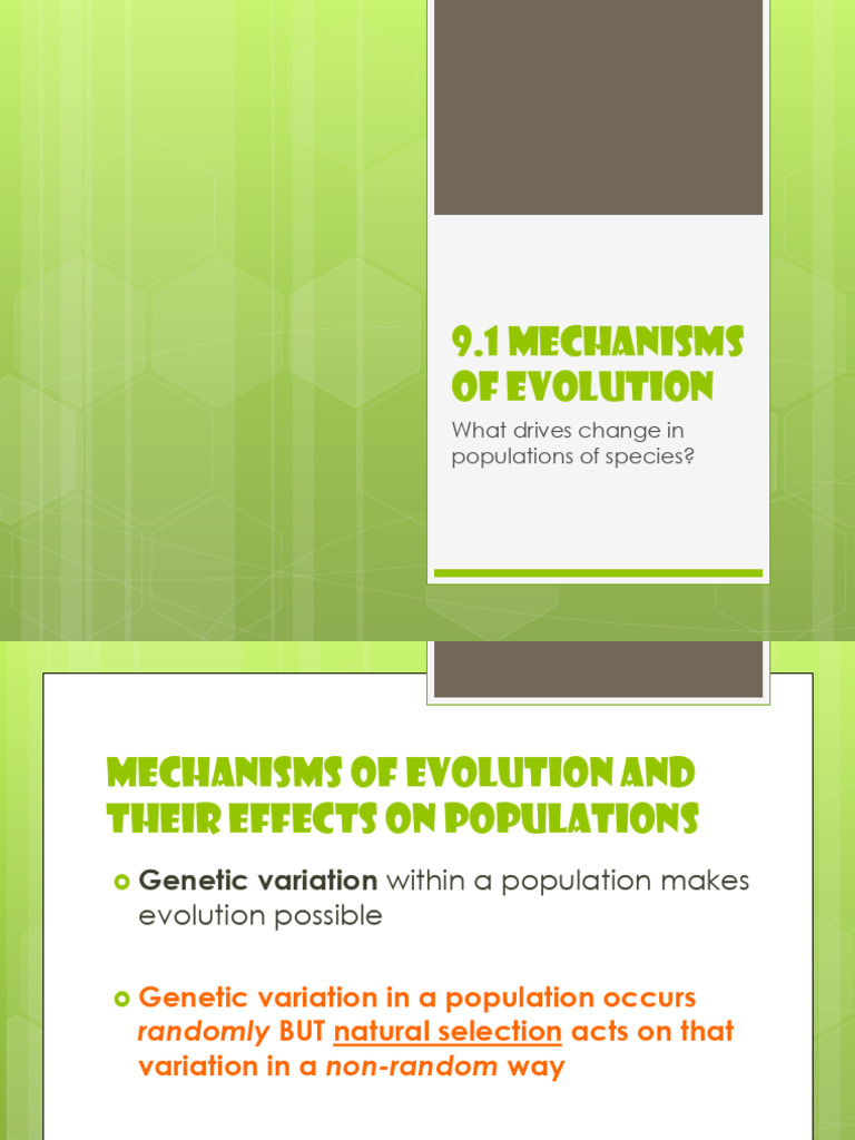 Powerpoint #5 - Section 9.1 Mechanisms of Evolution | PDF | Natural ...