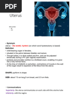 Anatomy of Female Reproductive Ligaments | PDF | Uterus | Ovary