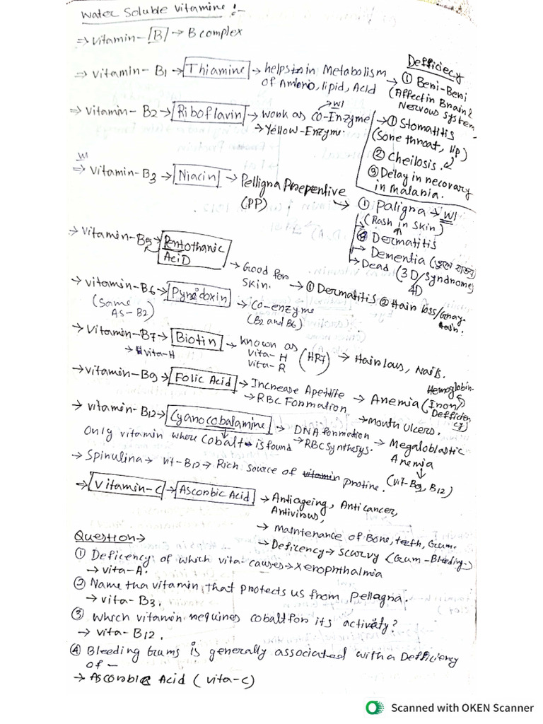 Biology by Sourin Bisal Vitamin & Carbohydrates Digestive System | PDF