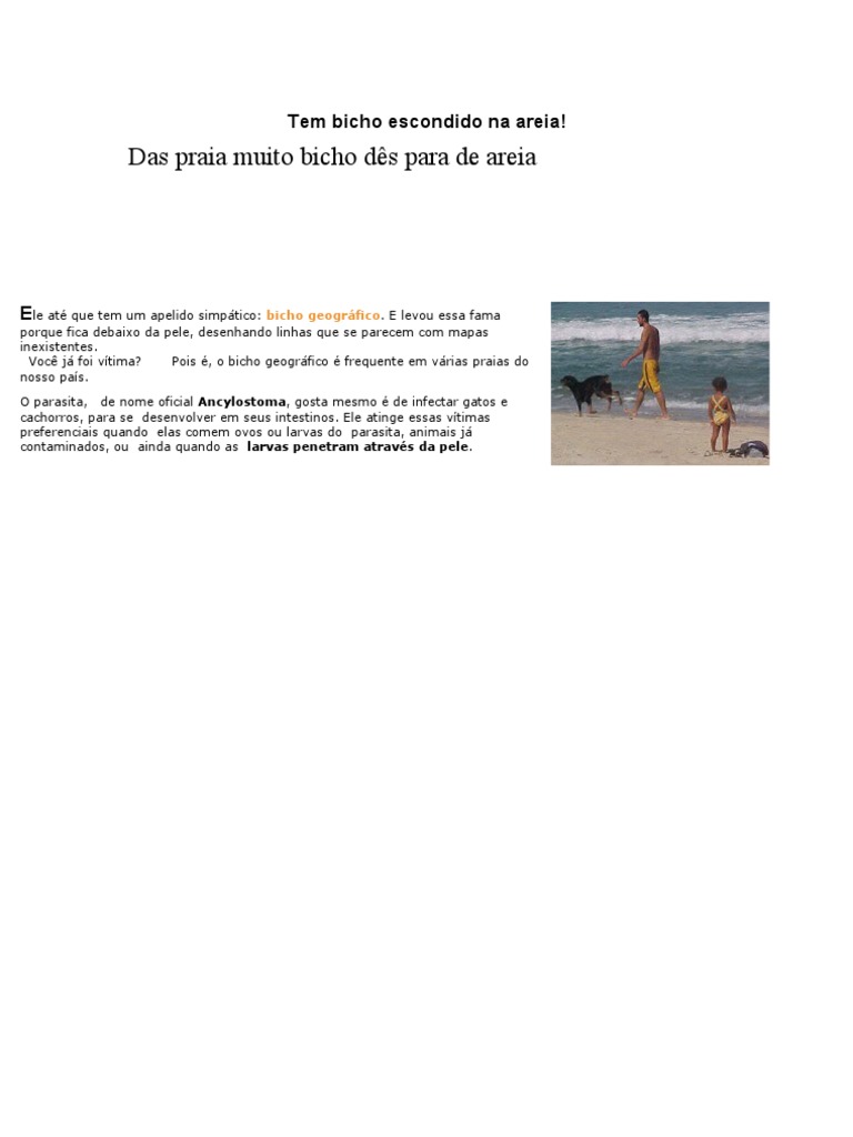 Bicho Geográfico: Risco nas Praias | PDF
