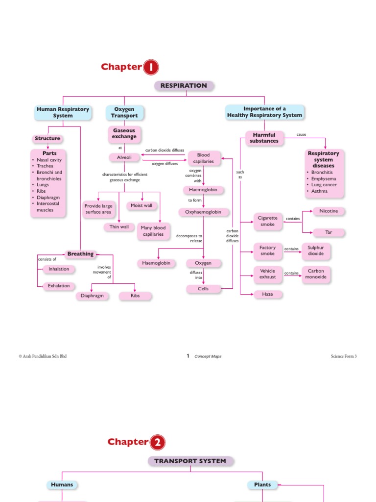 Respiratory System Concept Map