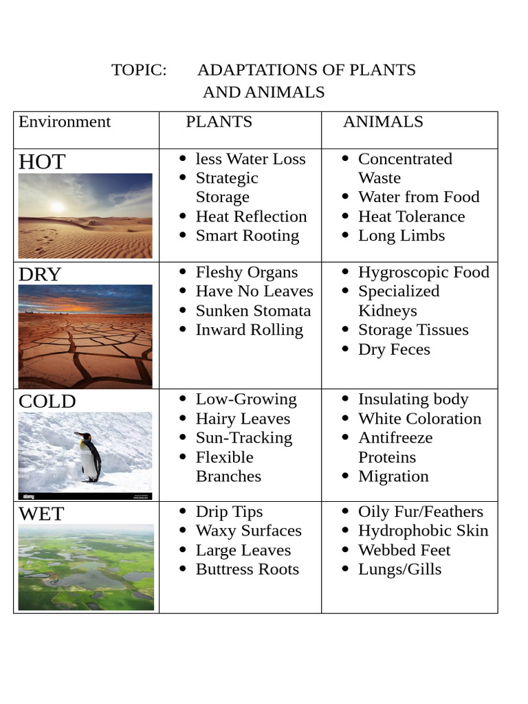Science Adaptation 8 A | PDF
