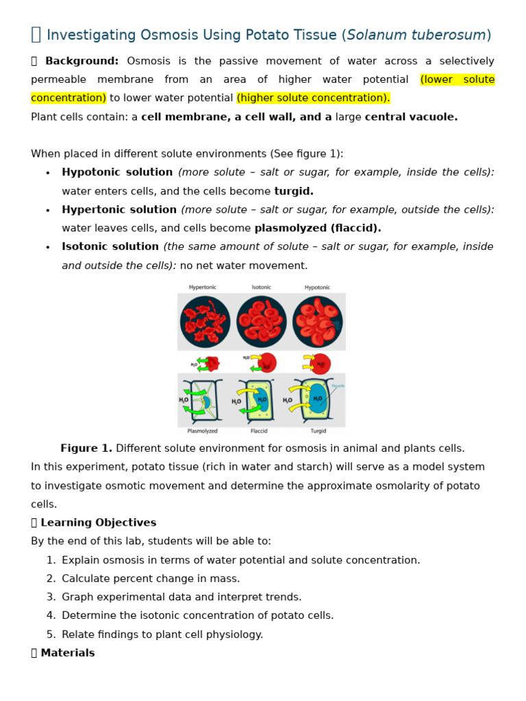 ? Investigating Osmosis Using Potato Tissue | PDF | Osmosis | Cell Biology