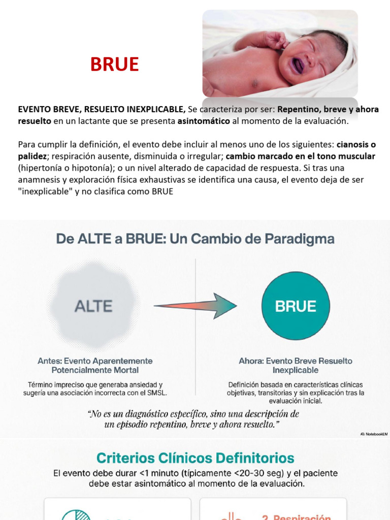 BRUE | PDF