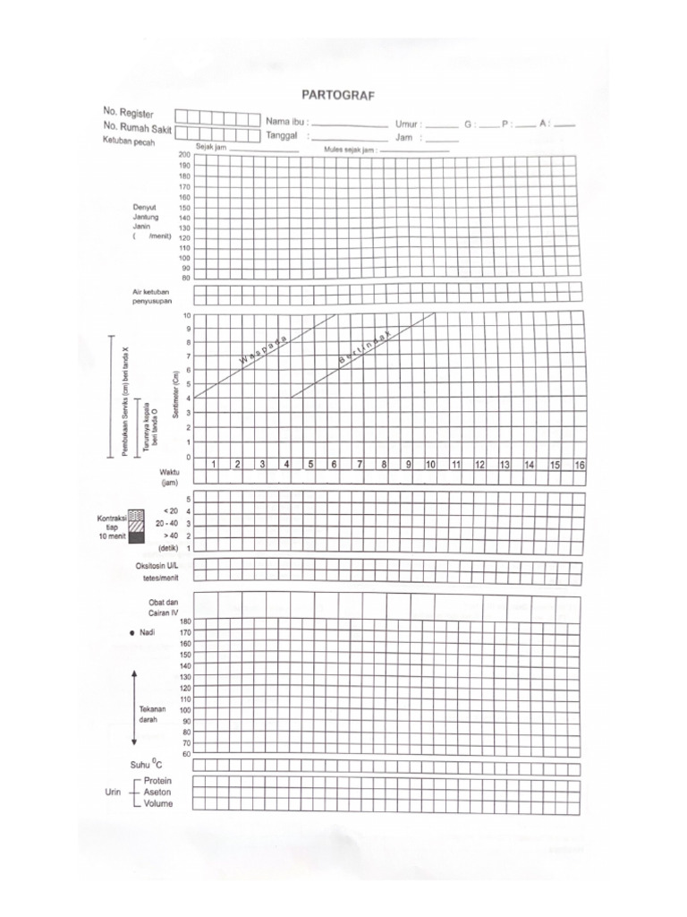 Partograf | PDF