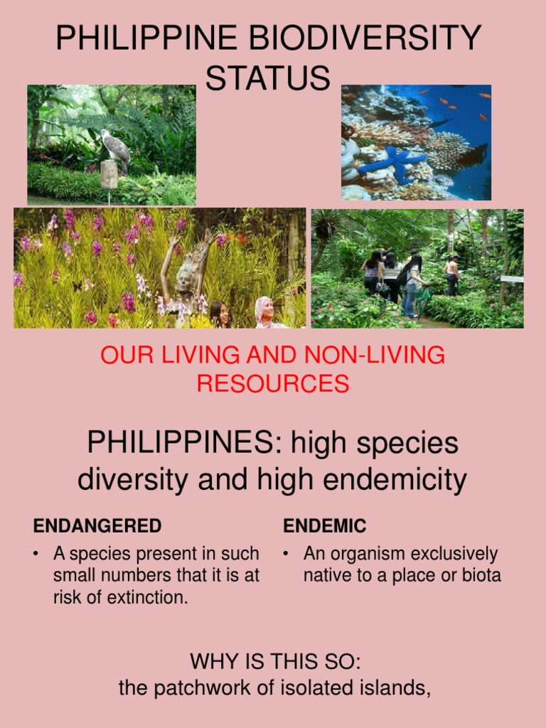 Philippine Biodiversity and Endangered Species | PDF | Conservation ...