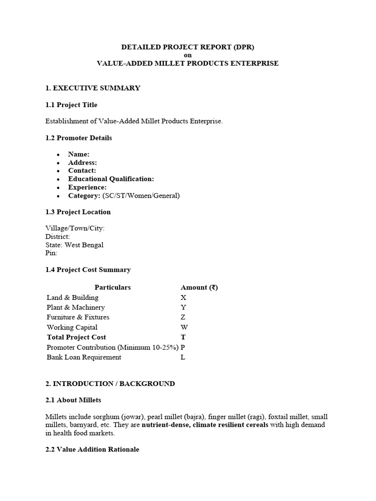 Detailed Project Report Format | PDF | Economies