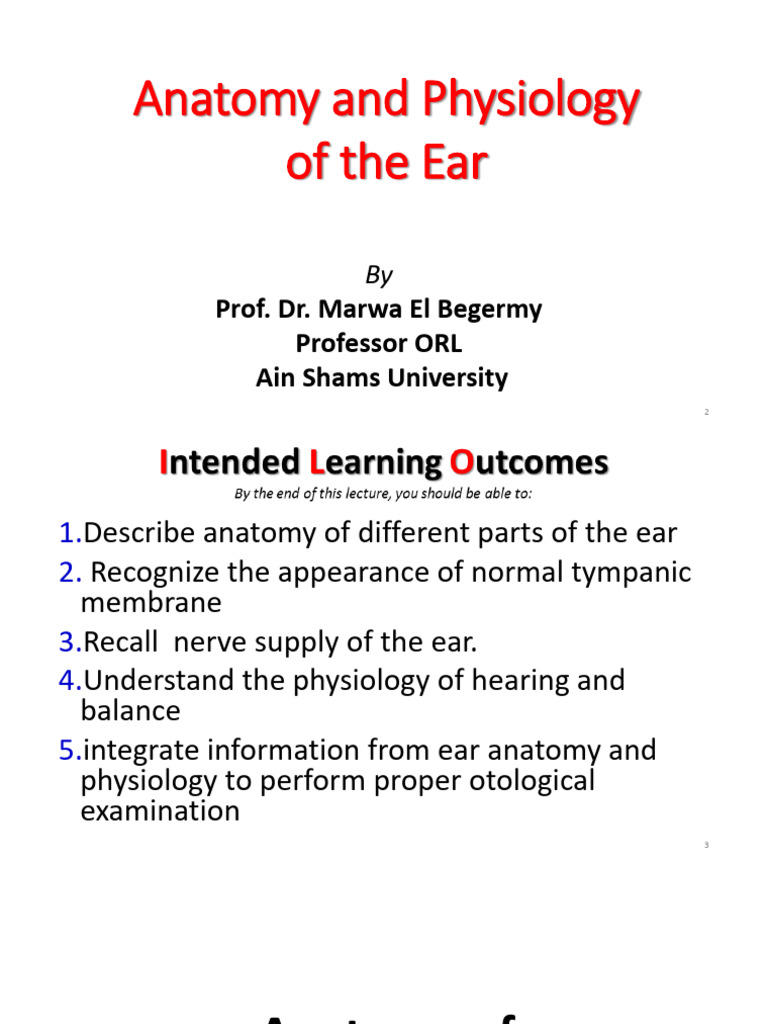 Anatomy and Physiology of The Ear | PDF | Ear | Anatomy
