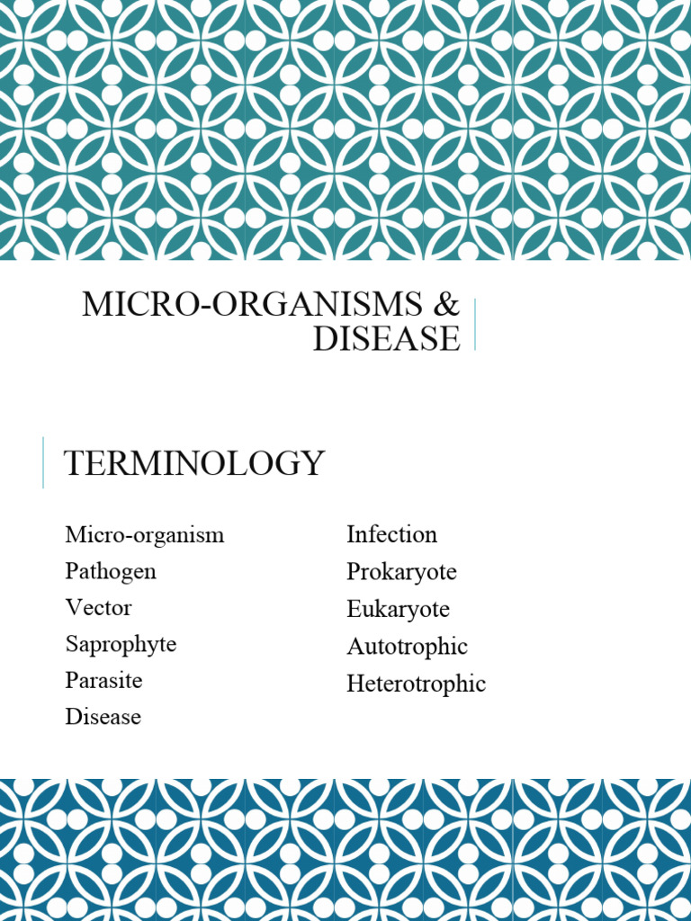 Bacteria and Viruses Notes | PDF | Virus | Hiv
