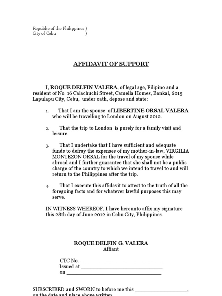 Affidavit of Support | PDF
