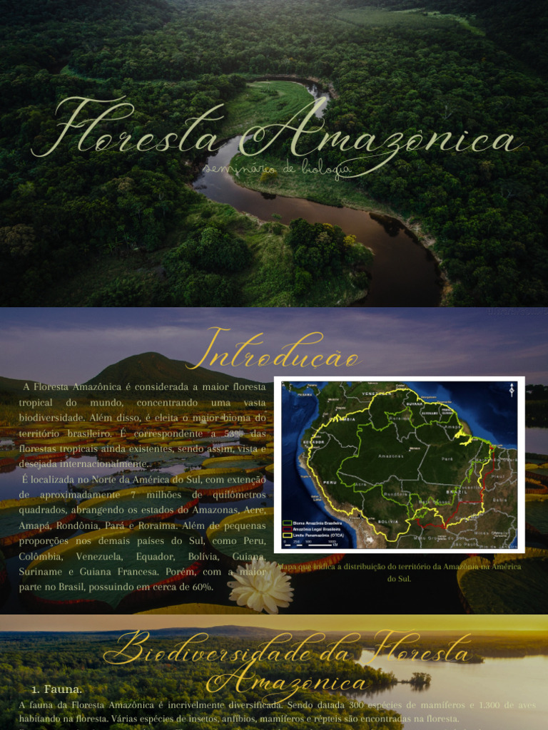 Seminário de Biologia: Floresta Amazônica | PDF | Rio Amazonas | Várzea