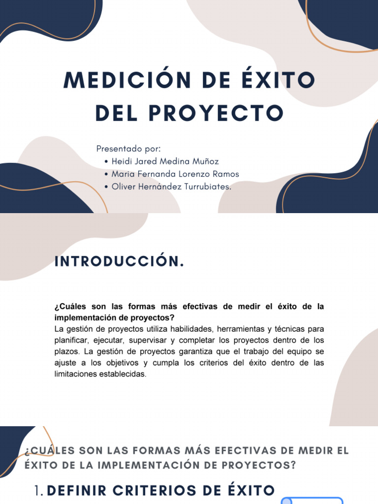 HJMM - Medición Del Éxito Del Proyecto | PDF