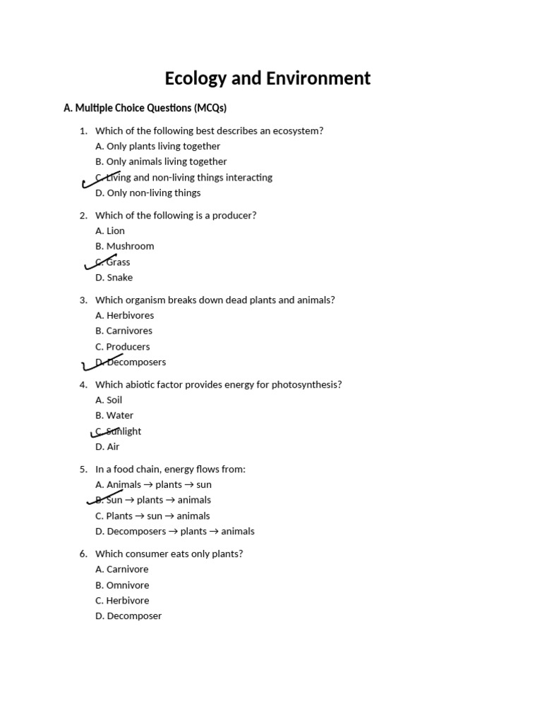 Ecology and Environment (Sheets) | PDF | Ecosystem | Food Web