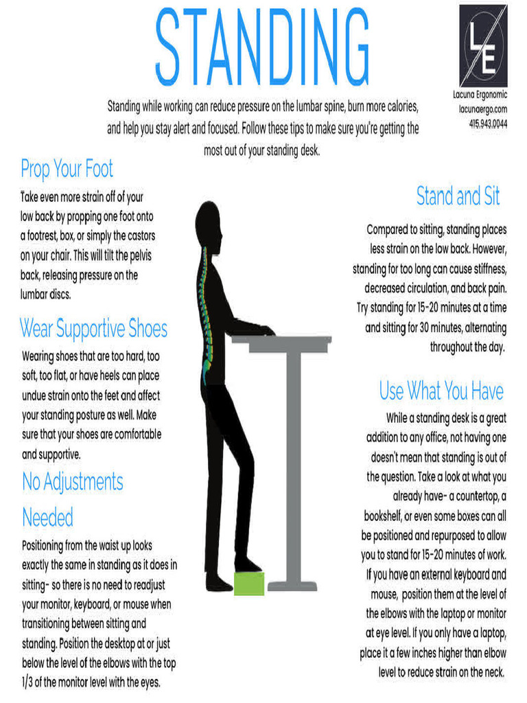 Correct Posture (Standing, Sitting, Lying, Lifting Weights) | PDF