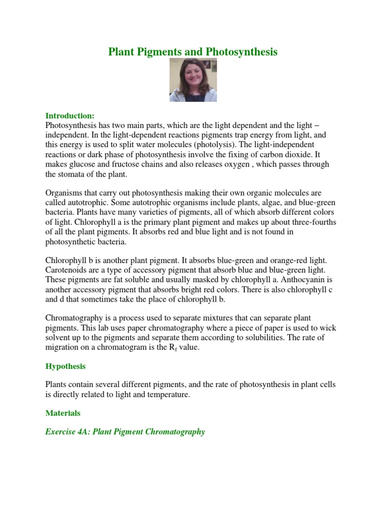 Plant Pigments and Photosynthesis Lab | PDF | Chlorophyll | Photosynthesis