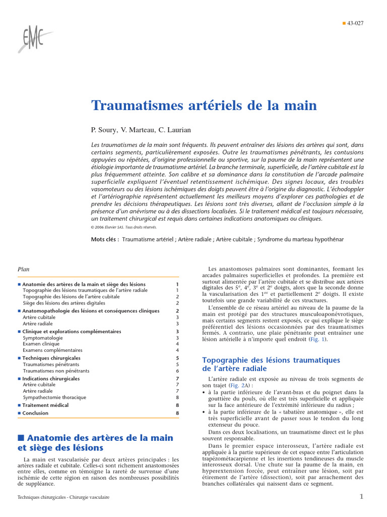 Traumatismes Artériels de La Main | PDF | Main | Angiologie