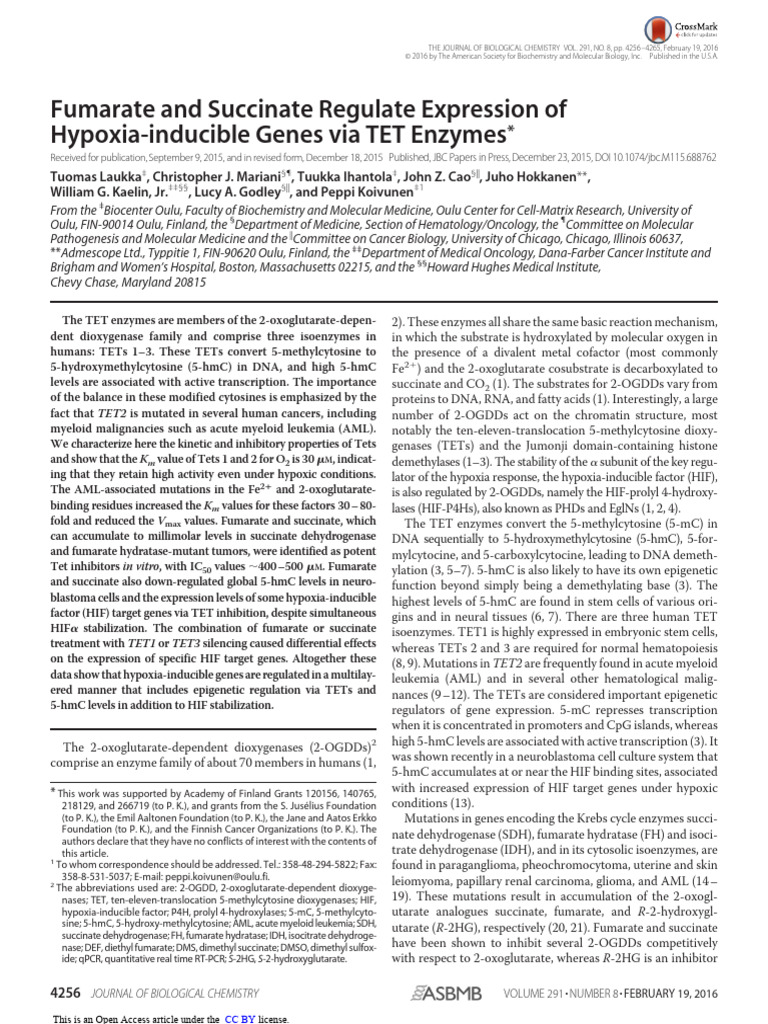Fumarate and Succinate Regulate Expression of Hypoxia-Inducible Genes ...