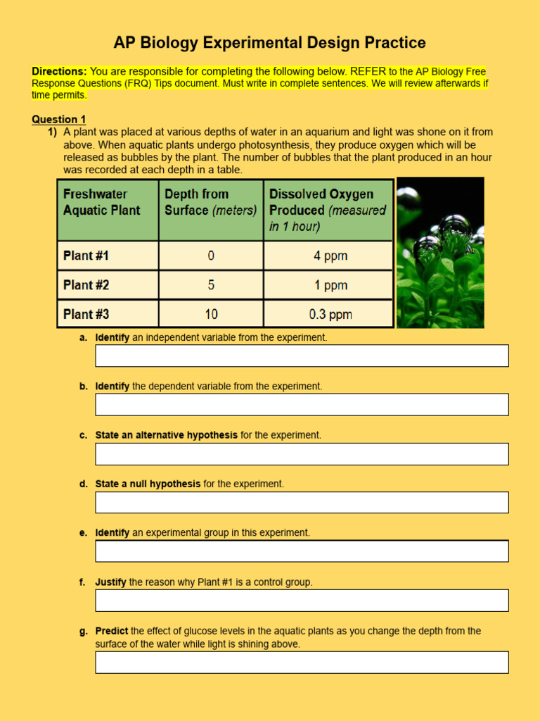 AP Biology Experimental Design Practice | PDF | Experiment
