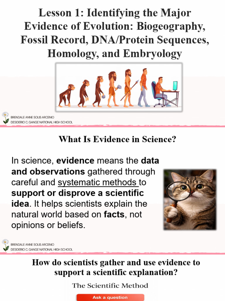 Lesson 1 Major Evidence of Evolution | PDF | Evolution | Homology (Biology)
