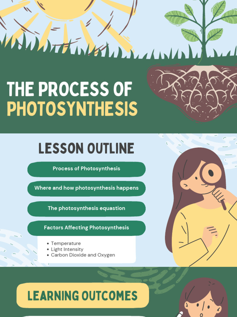 M.1.1 Lesson 4 - Photosynthesis | PDF | Photosynthesis | Cellular ...