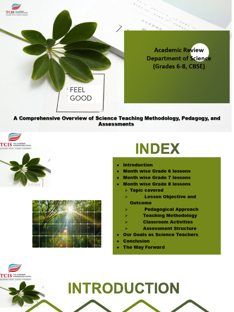 Grade 6-8 Academic Review 24-25NEW | PDF | Respiratory System | Breathing