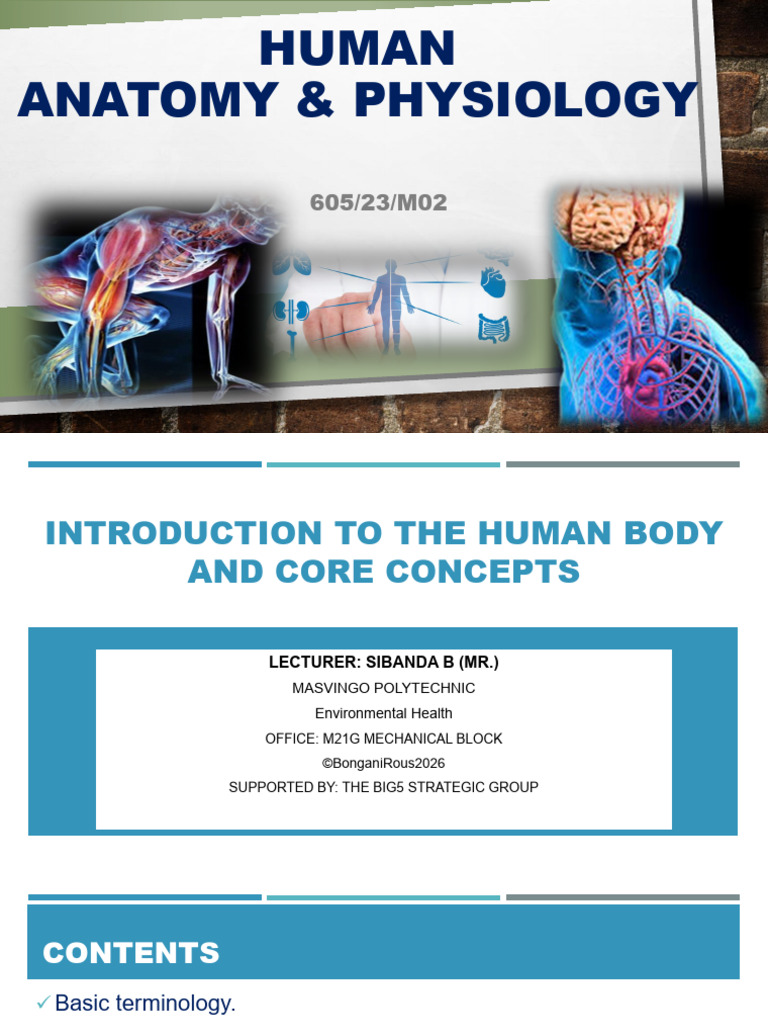 Human Anatomy & Physiology - Intro To Human Body and Core Concepts - 26 ...