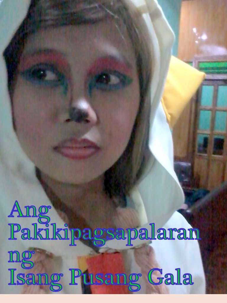 Ang Pakikipagsapalaran NG Isang Pusang Gala (The Adventures of A Stray ...