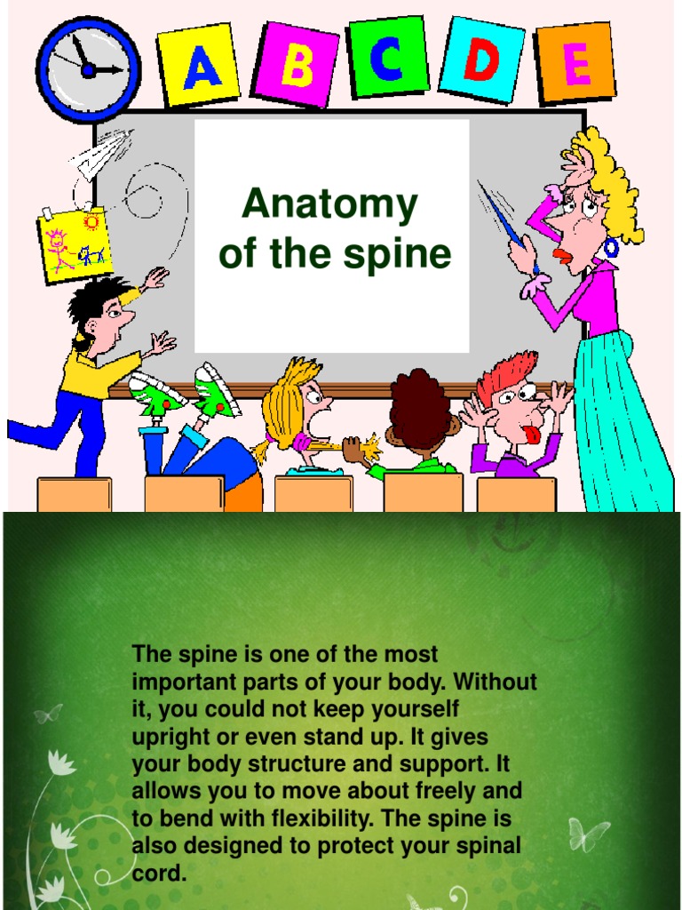 18 - Anatomy of The Spine - D3 | PDF | Vertebral Column | Vertebra