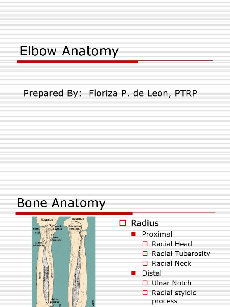 Elbow Anatomy: Prepared By: Floriza P. de Leon, PTRP | PDF | Elbow ...