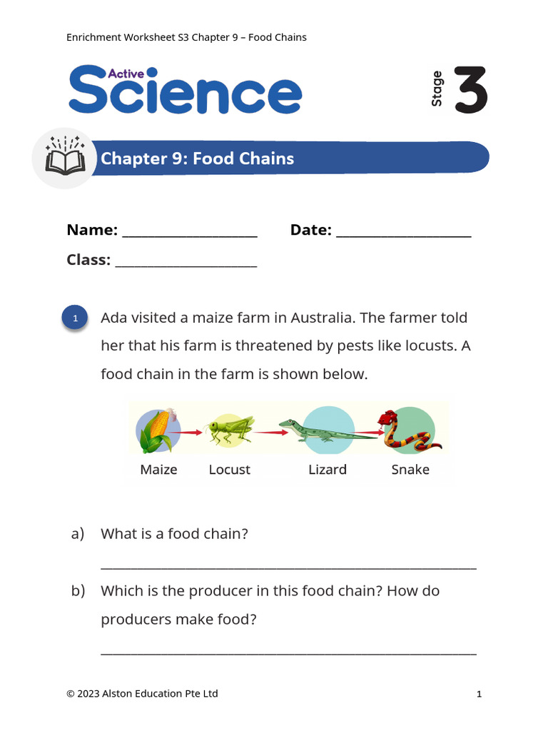 Active Science 3 C9 Enrichment Worksheet | PDF | Foods