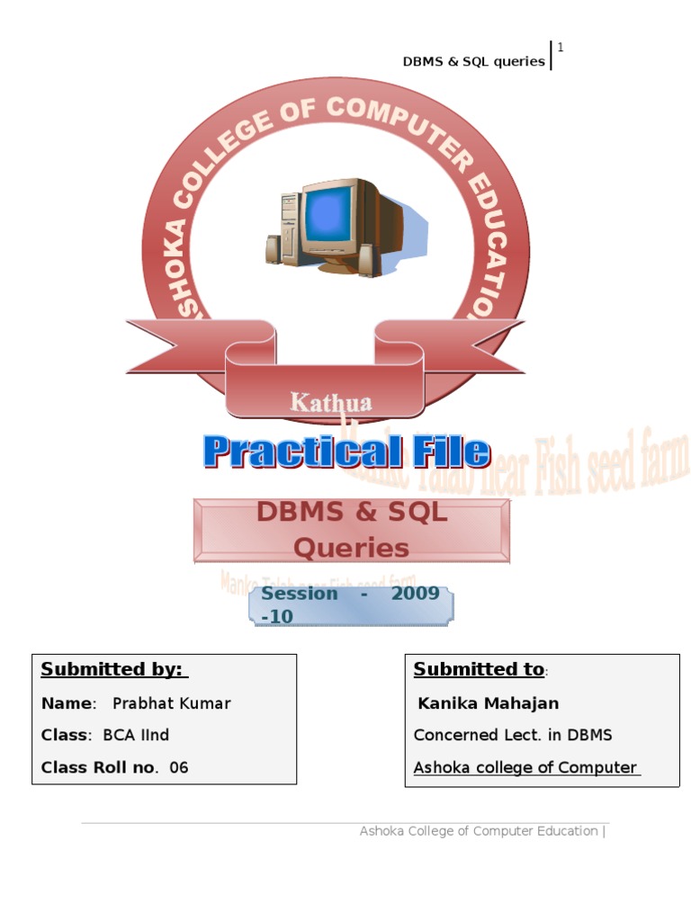 26812648 Practical File Sql Queries Dbms Sql Databases