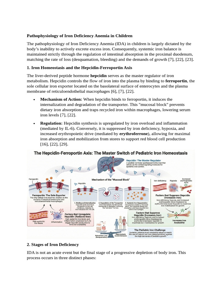 Pathophysiology of Iron Deficiency Anemia in Children | PDF | Iron ...