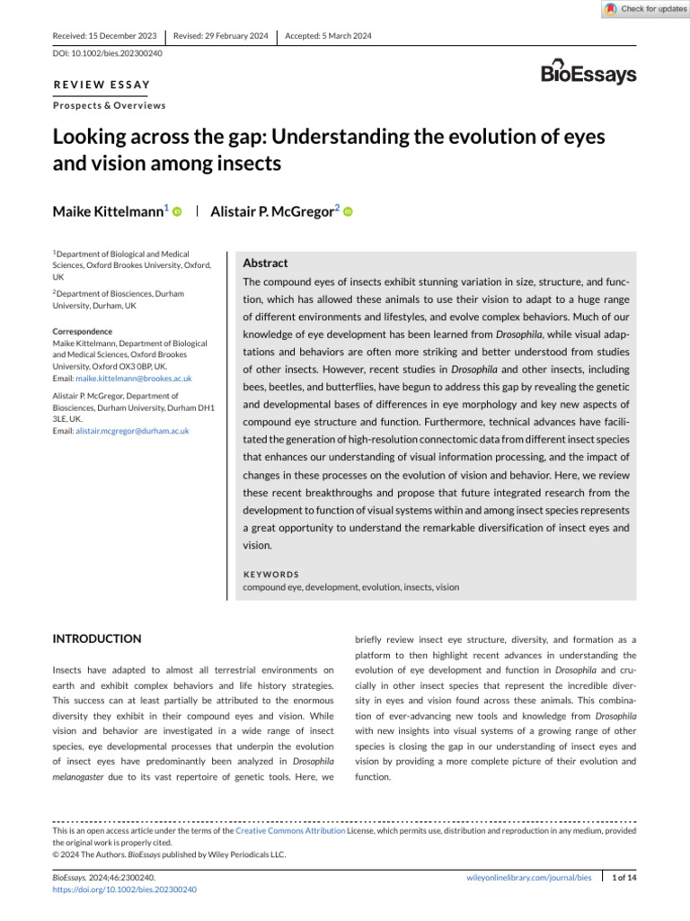 BioEssays - 2024 - Kittelmann - Looking Across The Gap Understanding ...