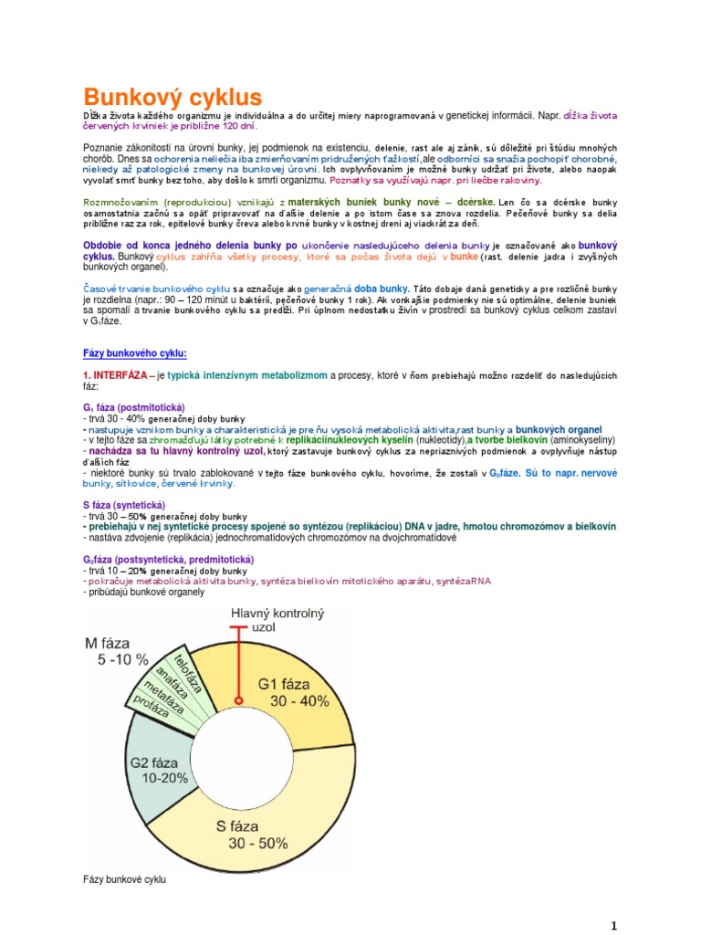 Bunkový Cyklus | PDF