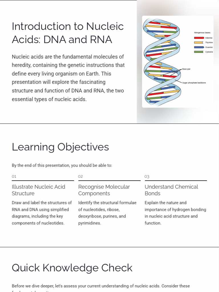 Introduction To Nucleic Acids DNA and RNA 2025 (2) | PDF | Rna | Gene