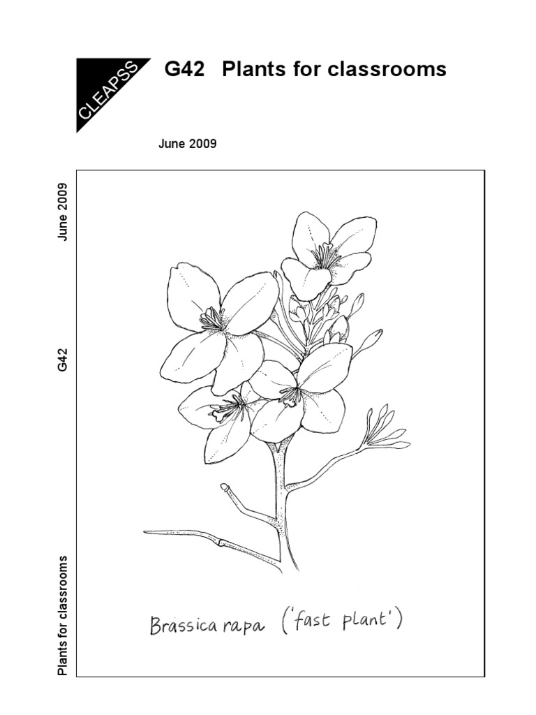 CLEAPSS Plants For The Classroom | PDF | Plants | Flowers