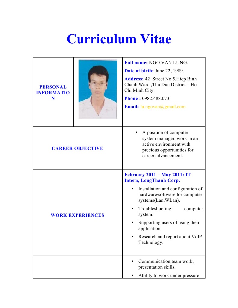 CV of Ngo Van Lung - IT Professional | PDF