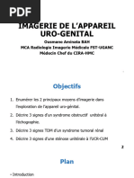 Syndrome de la Jonction Pyelo-Uréterale | PDF | Rein | Spécialités ...
