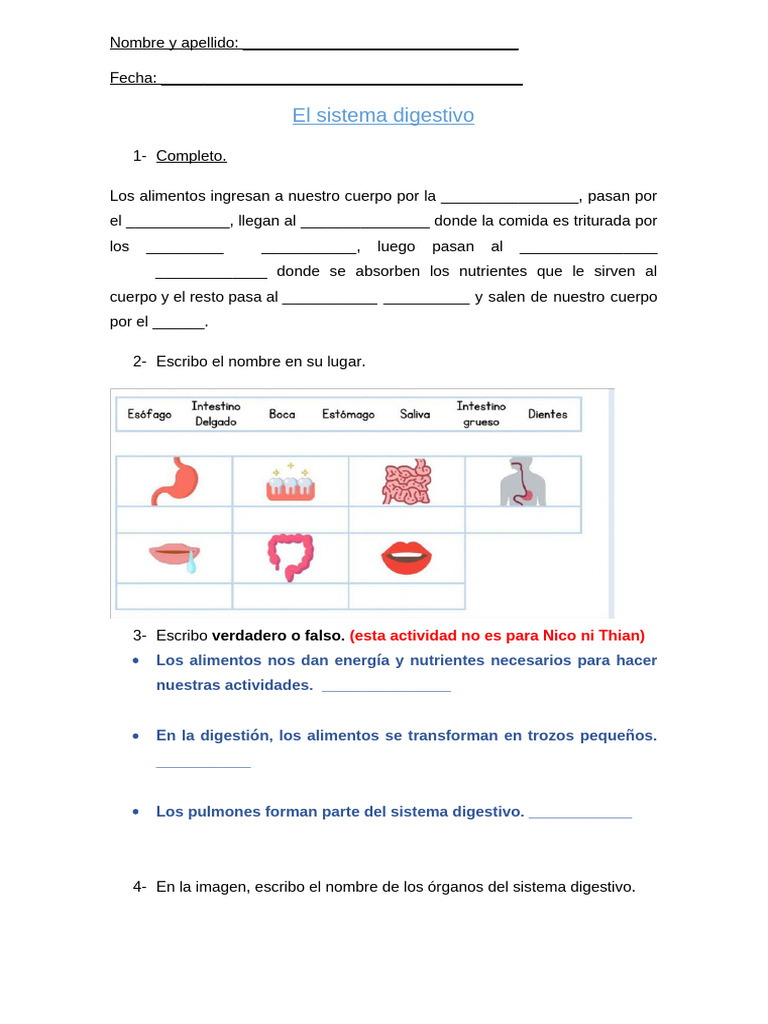 Evaluacion Sist Digestivo 3ro A | PDF